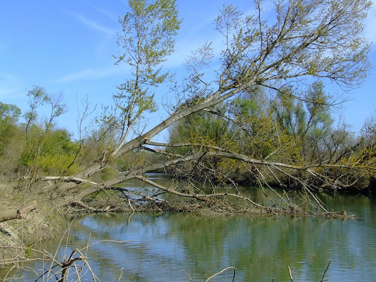 Sebes-Körös – Körösvidéki Horgász Egyesületek Szövetsége